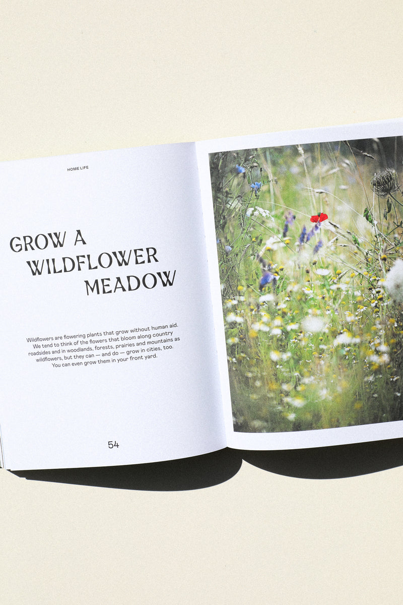 Wild Life: 50 Projects to Rewild Your Life from the Home to Outdoors – Earthen