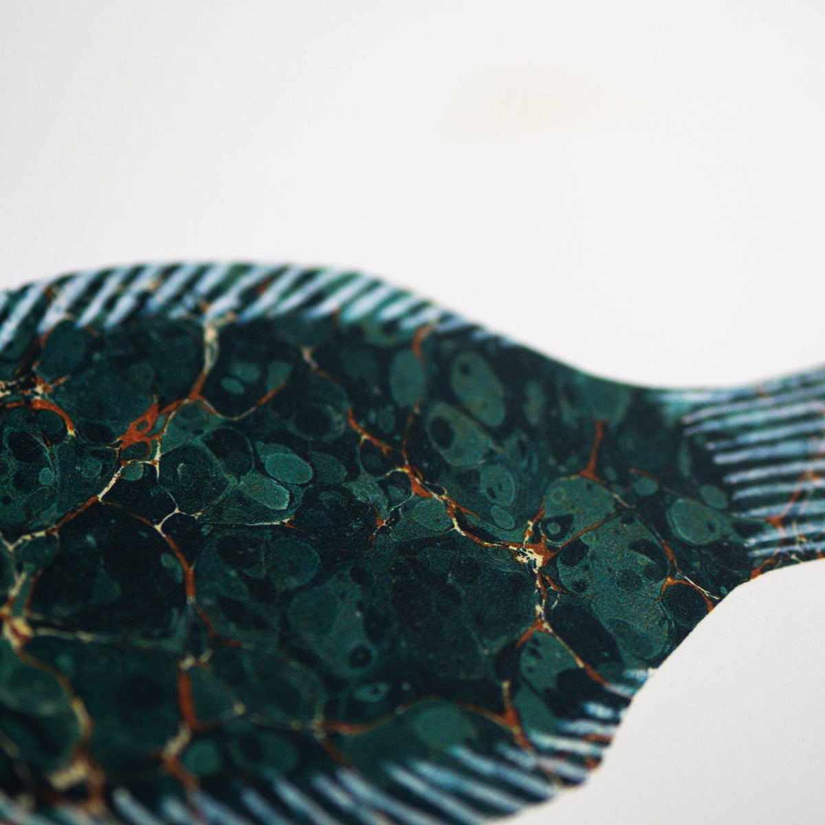 Little Fish Print – Earthen