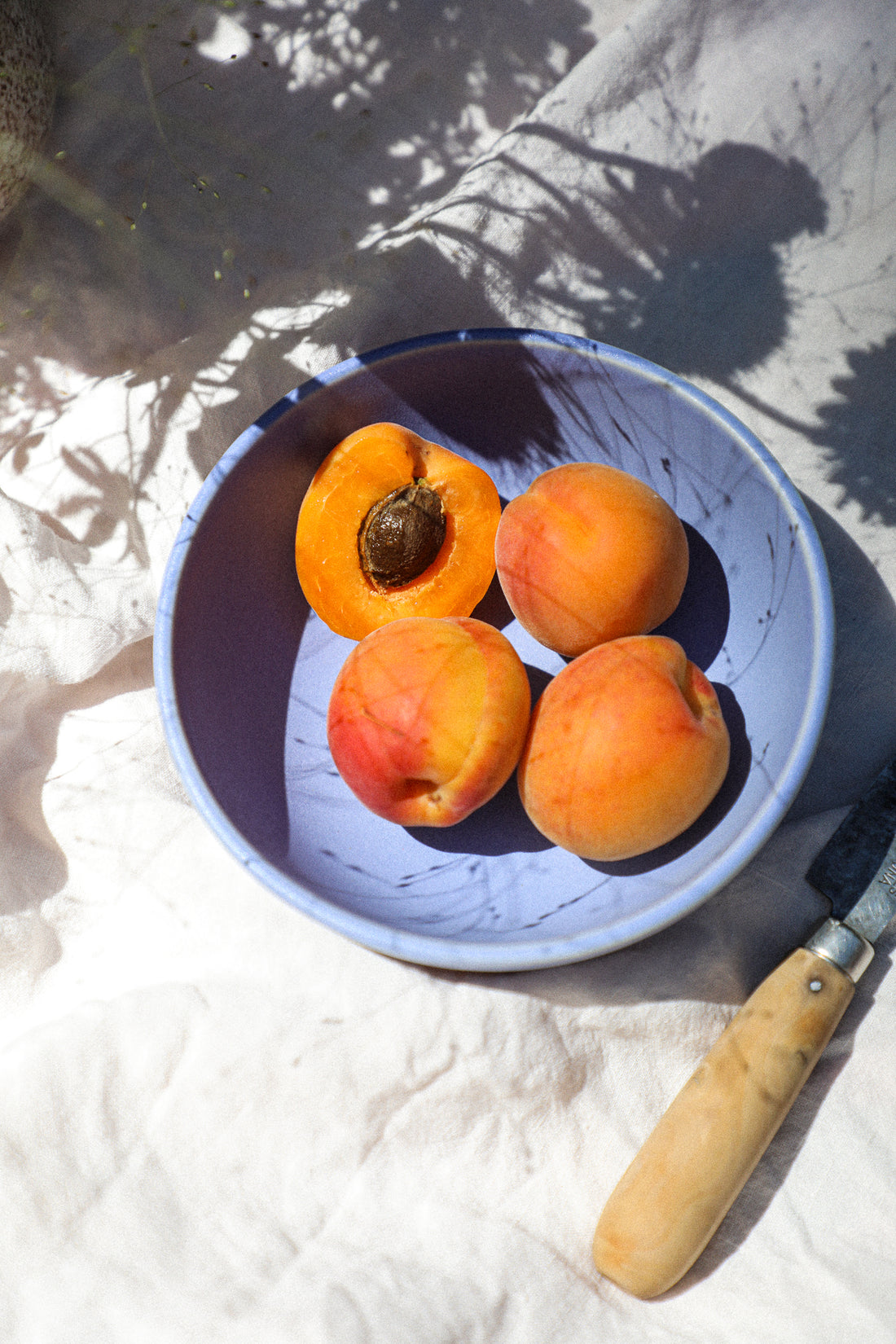 Earthen Ceramics