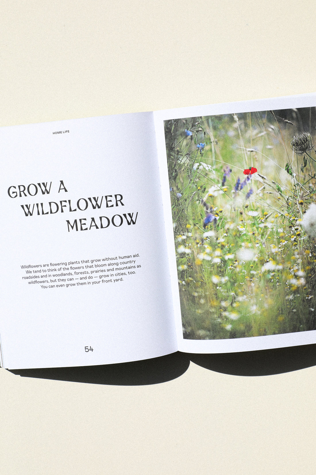 Wild Life: 50 Projects to Rewild Your Life from the Home to Outdoors ...