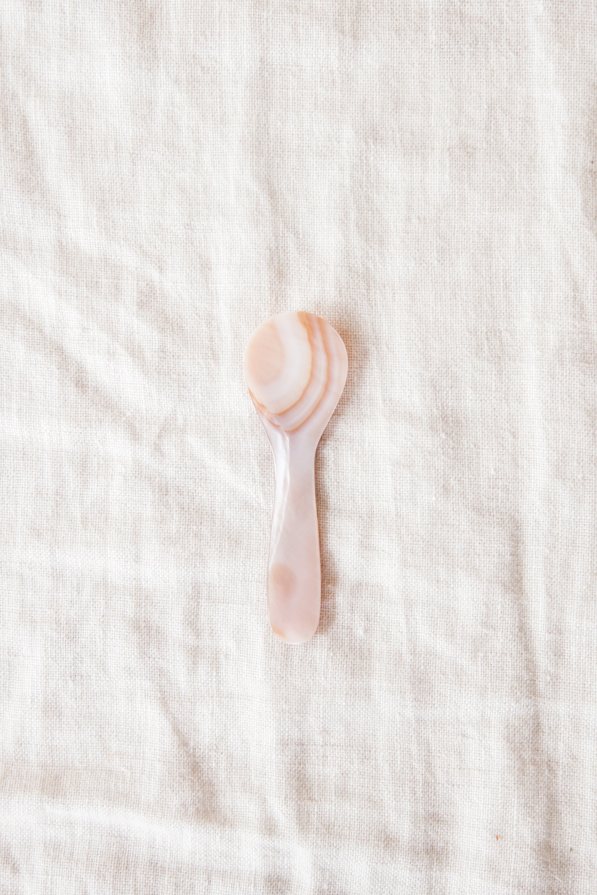 Seashell Salt Spoon – Earthen