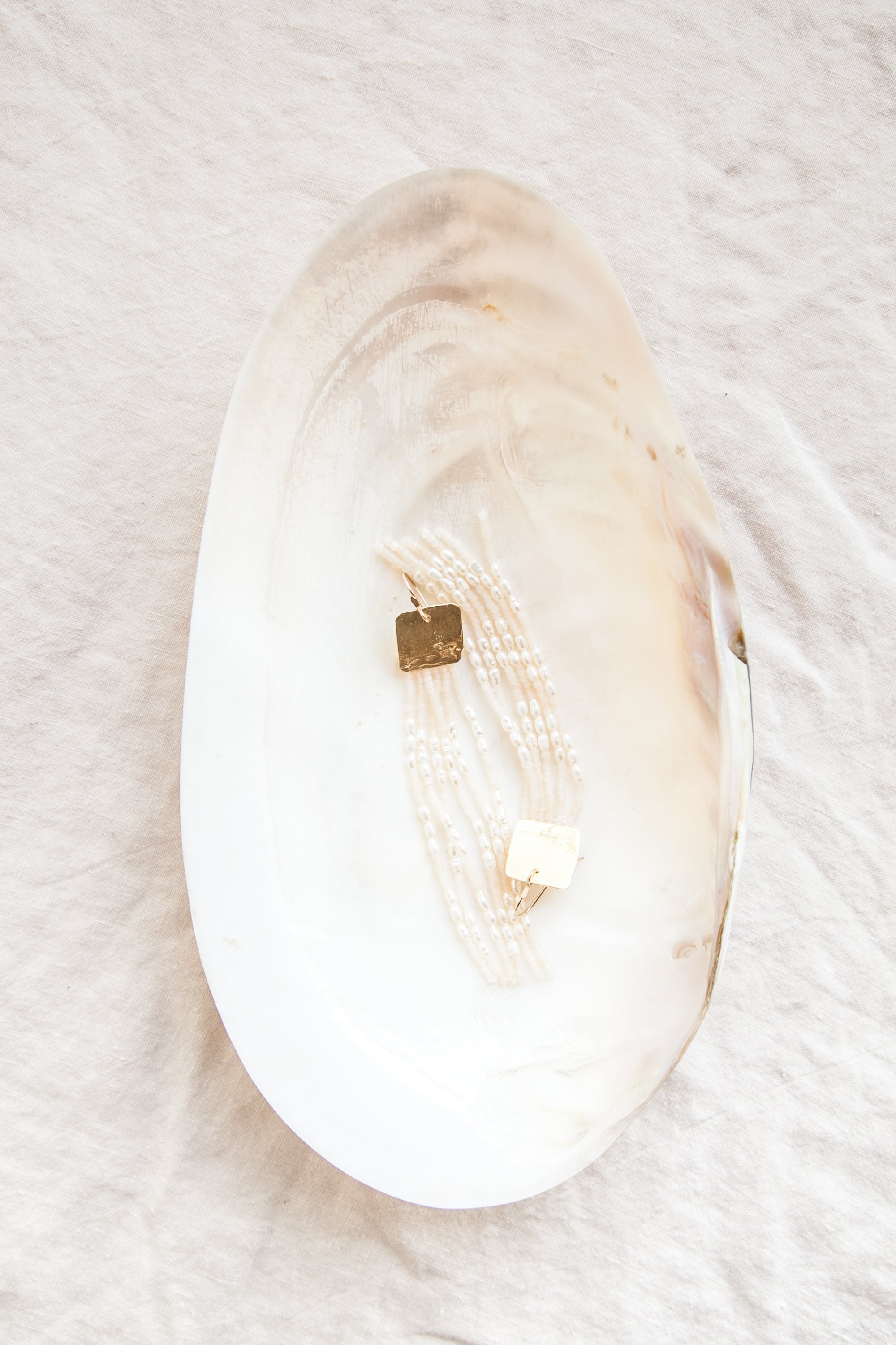 Seashell Dish – Earthen