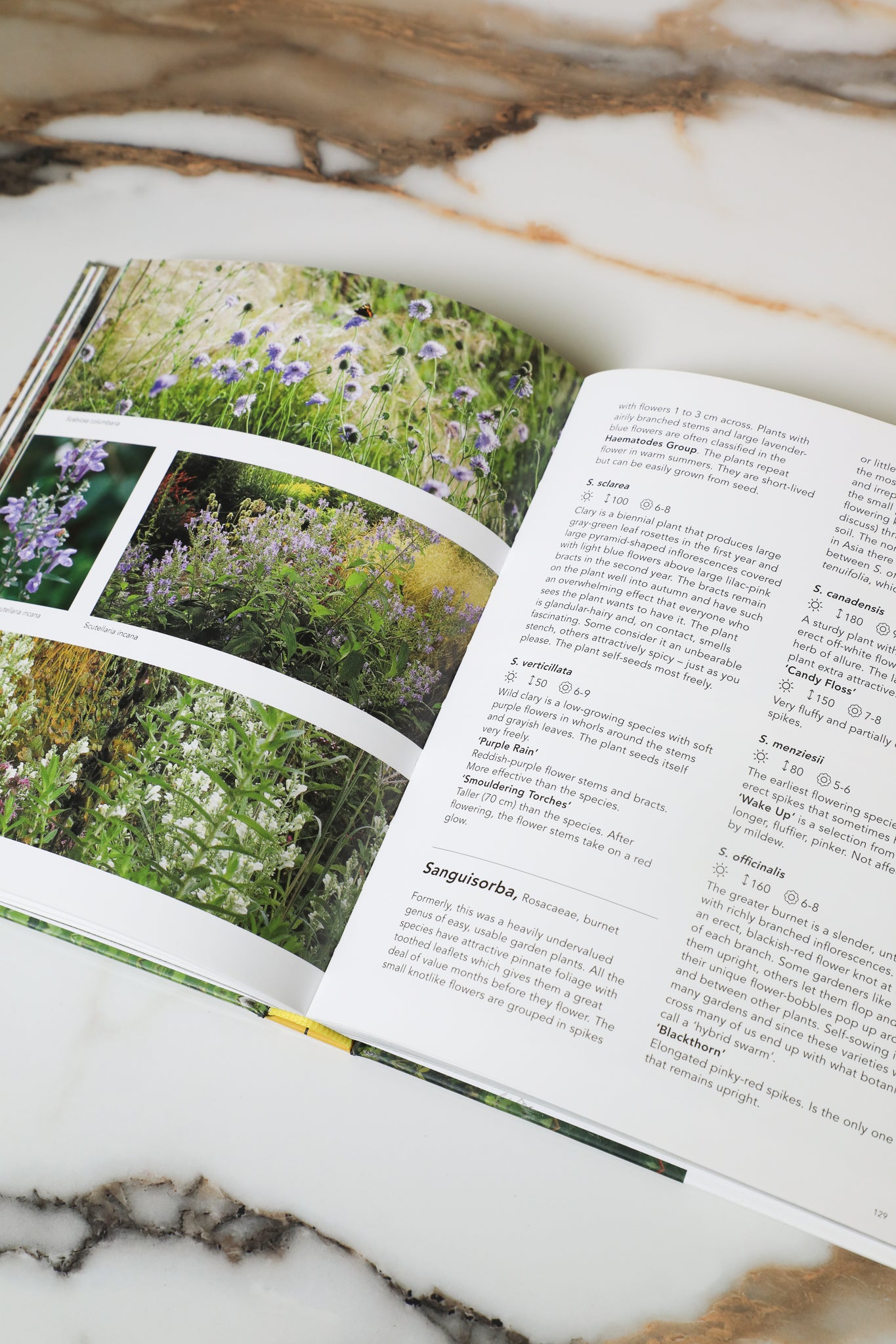 Planting The Natural Garden – Earthen