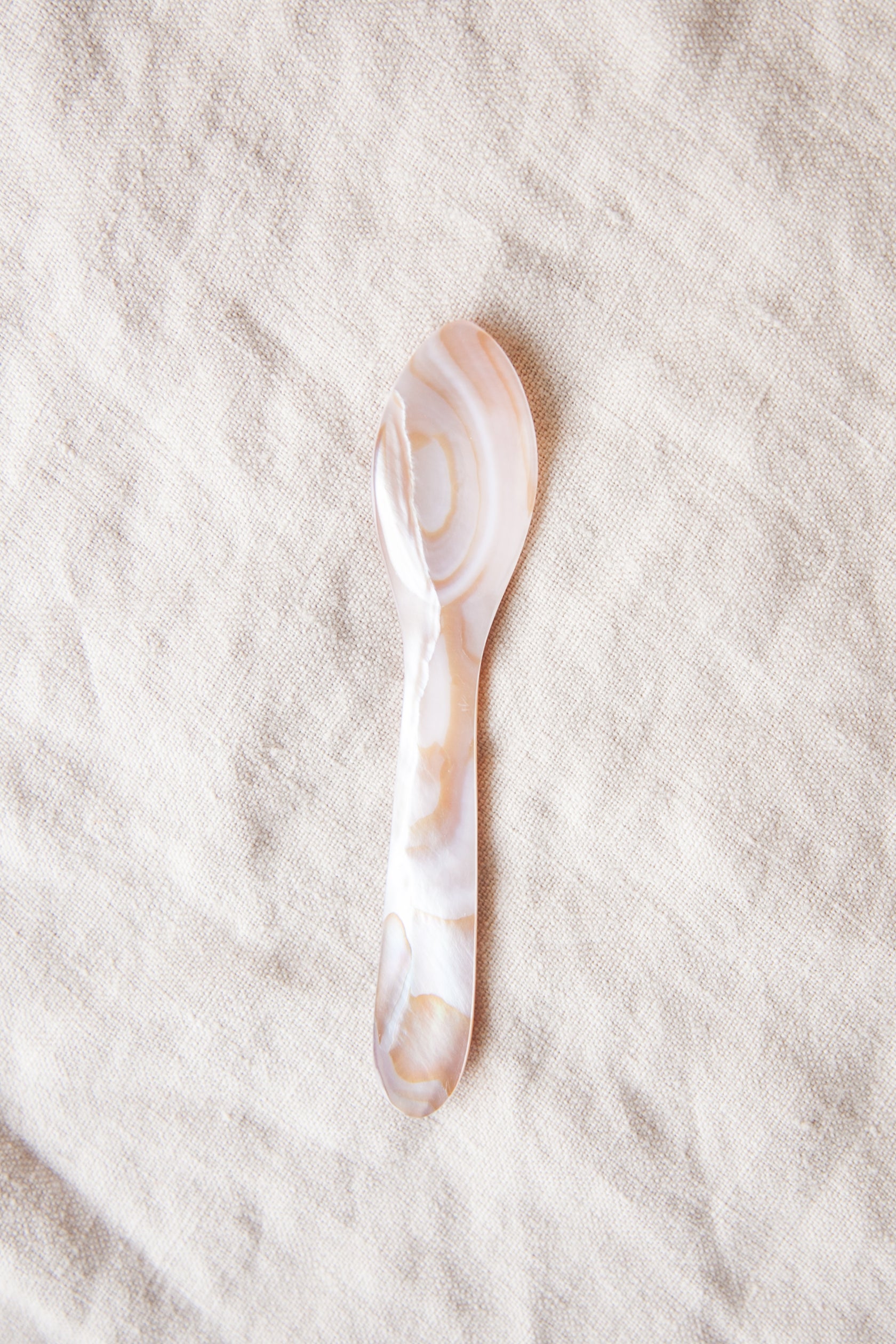 Seashell Dessert Spoon – Earthen
