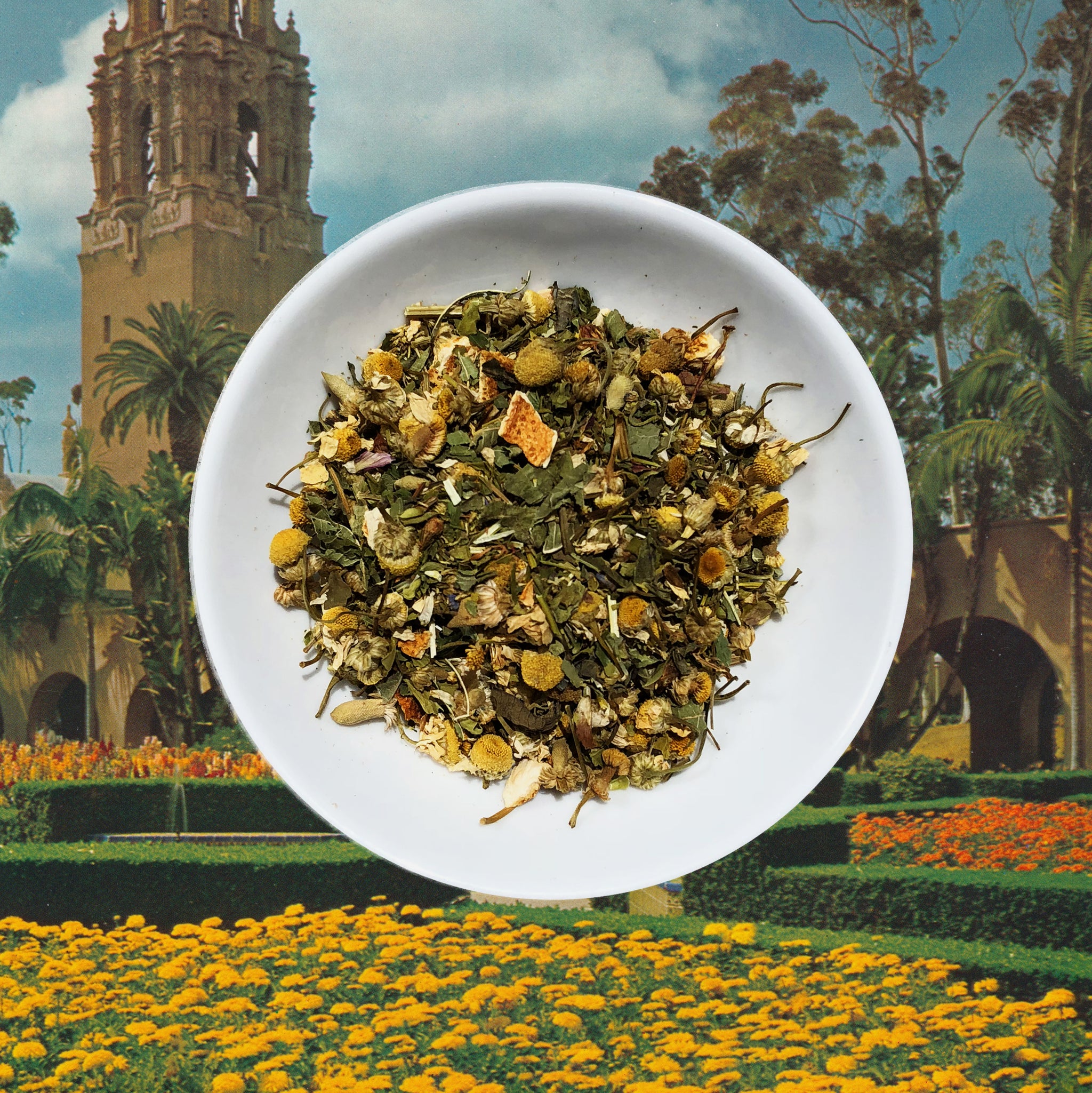 Chronic Wellness Tea – Earthen